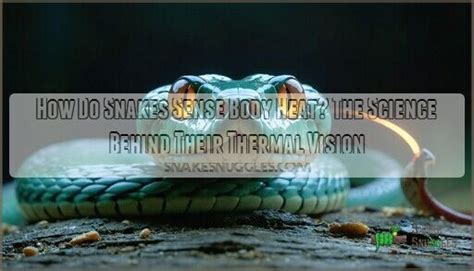 How Do Snakes Sense Body Heat The Science Behind Their Thermal Vision