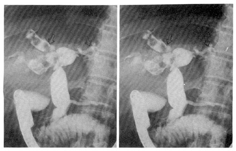 The Korean Journal Of Internal Medicine