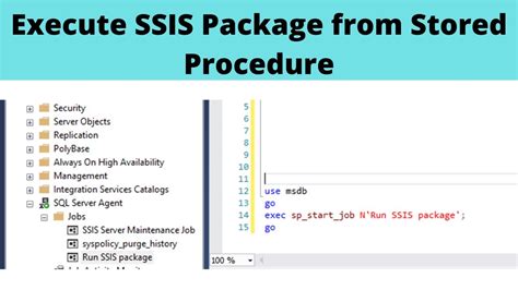16 Execute Ssis Package From Stored Proceduresql Query Youtube