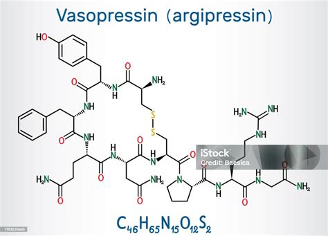 바소프레신 아르기닌 바소프레신 Avp 또는 아르기프레신 분자 그것은 시상 하 부에서 뉴런에서 펩 티 드 프로 호르몬으로 합성 하는 항 이뇨 호르몬 Adh 구조 화학 공식