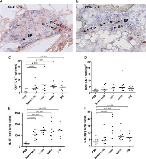 Shifted T Cell Polarisation After Agricultural Dust Exposure In Mice And Men Thorax