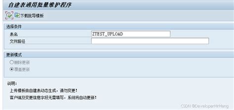 Sap Abap自建表通用批导函数（动态下载模板，动态上传数据）abap 万能批导 Csdn博客