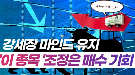 시장 조정을 활용해 이 종목 매수 해 보겠습니다 Youtube