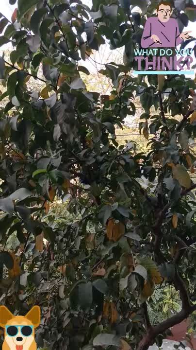 Ms Neelu P On Linkedin I Used To Spent Mornings Watching Birds And Squirrel In My Garden And…