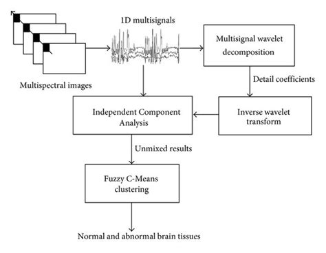 Proposed Mw Ica Based Classification Download Scientific Diagram