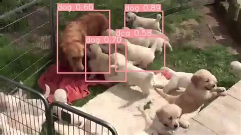 Vinay Kumar Gorli On Linkedin Objectdetection Ml Ai Aiml Aimers