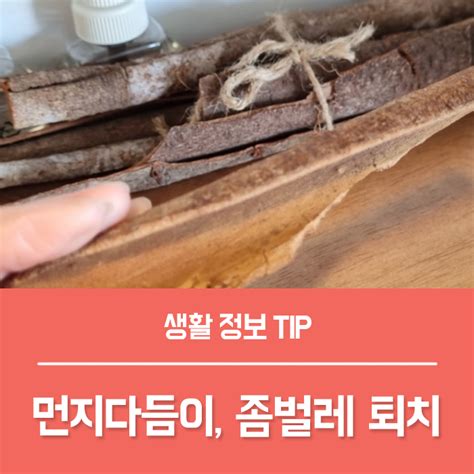 먼지다듬이 벌레책벌레 좀벌레 퇴치법 6가지 네이버 블로그