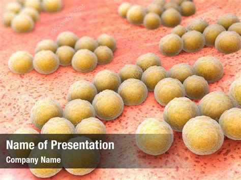 Staphylococcus Powerpoint Template Staphylococcus Powerpoint Background