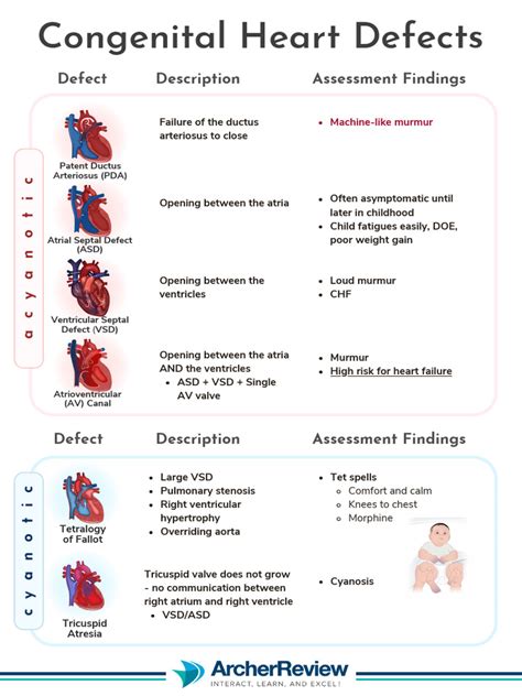 Congenital Heart Defects Cheat Sheet892024 Pdf Congenital Heart Defect Heart Valve