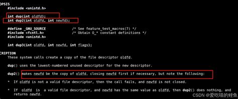 Linux基础io重定向close 与dup2 Csdn博客
