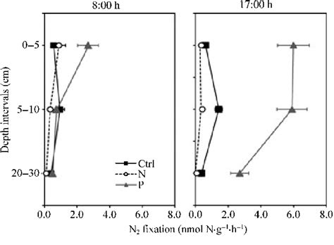 N 2 Fixation Rates Within A Day 800 Versus 1700 H In The