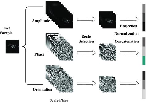 Generation Of Monogenic Component Specific Features With Scale