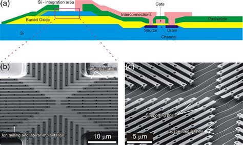 A Drawing Showing The Integration Scheme To Combine Cmos Circuits A