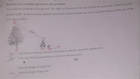 Read The Text Carefully And Answer The Questions Two Trees Are Standing