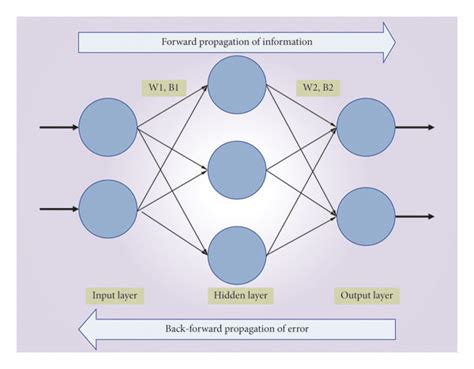 The Structure Diagram Of Bpnn Download Scientific Diagram