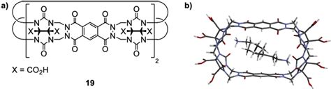 A Chemical Structure Of Cucurbituril Based Host 19 B Download Scientific Diagram