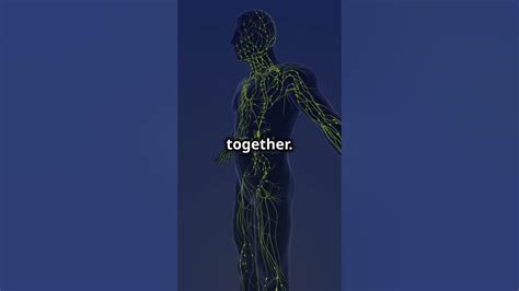 Frontend Roadmap Step 1 Master Html 🖥️ Developerroadmap Fullstackdevelopment Youtube