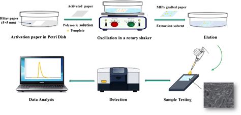 General Schematic Representation Of Experimental Steps Of Mip Grafted