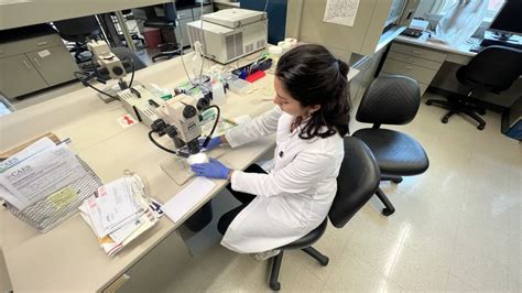 State Tick Testing Lab Tracking Increase In Tick Submissions We Are Dealing With Up To 12