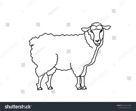 Sheep Vector Illustration Lamb Outline Drawing Vector De Stock Libre