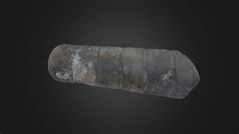 Cephalopod Fossil 3d Model By García Ávila M Garcia Avila [7ee382c] Sketchfab