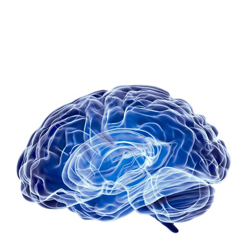 Treatments Cognitive Enhancement Herzog Vitality Center