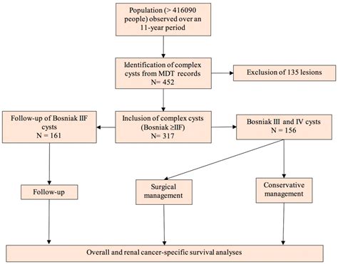 Bosniak 2f Imaging Angiogenesis Of Genitourinary Tumors