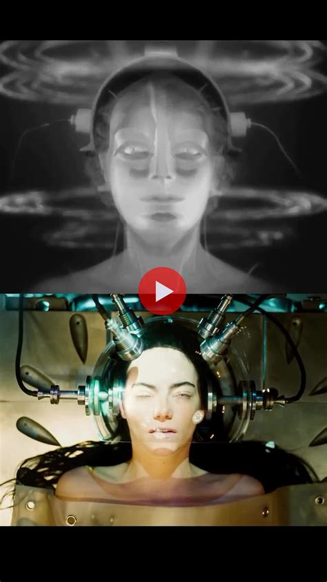 메트로 폴리스 Vs 가여운 것들 영화tv 에펨코리아