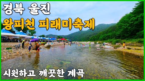 여름산행 쉬고 계곡여행 울진 왕피천 피래미축제 계곡 캠핑 추천 울진 Youtube