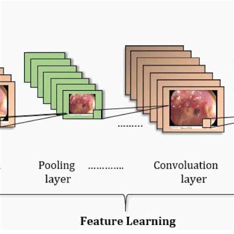 The Cnn Architecture For Colon Cancer Classification Download