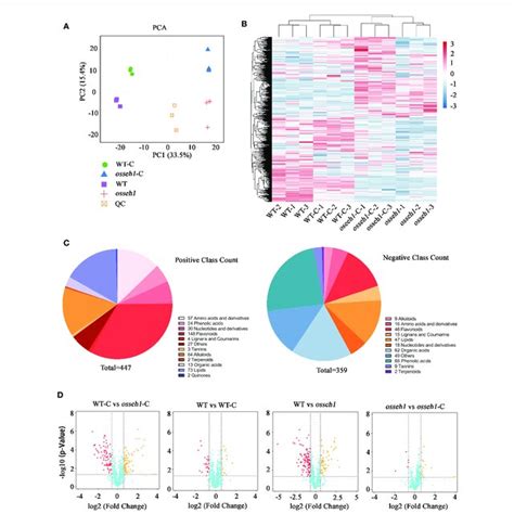 Combined Analysis Of The Transcriptome And Metabolome A Kegg