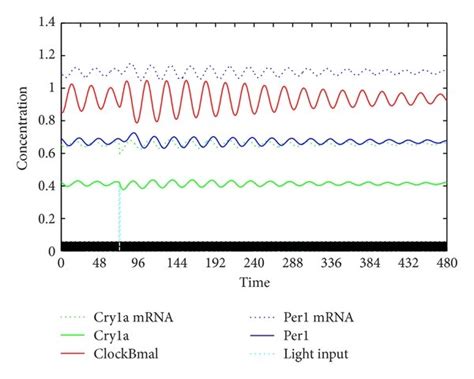 Stochastic Simulations After Light Pulses All Traces Show Stochastic Download Scientific