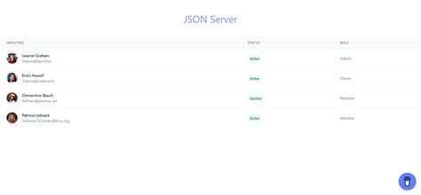 github thenewc0der 24 json server mock api for testing the front end