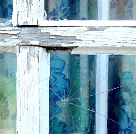 Premium Photo Reflection Of Trees In Water