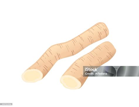 흰색 무 무 뿌리 녹색 줄기 만화 야채 식물 벡터 일러스트 레이 션 흰색 배경에 고립 건강한 생활방식에 대한 스톡 벡터 아트 및