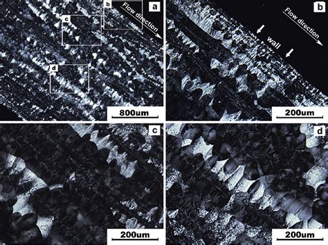 Polarized Light Microscopy Photographs Show The Samples Prepared By