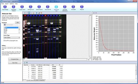 1d And 2d Gel Analysis Software At ₹ 66000 Image Analysis Software In