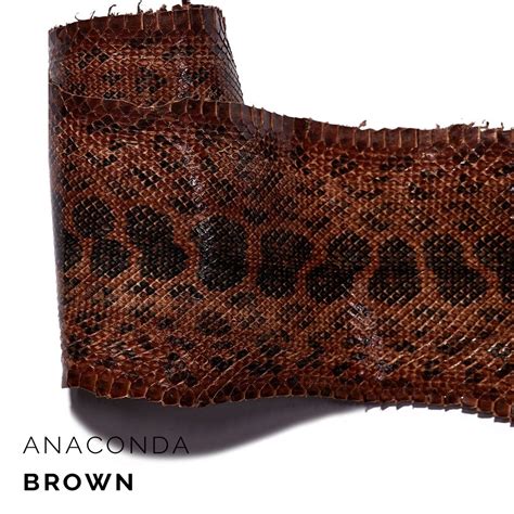 Anaconda Skin Pattern
