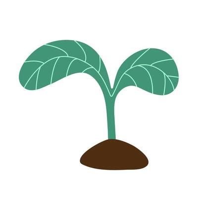 Seedling Vector Art Icons And Graphics For Free Download