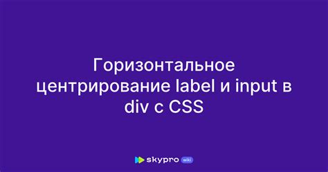 Горизонтальное центрирование Label и Input в Div с Css