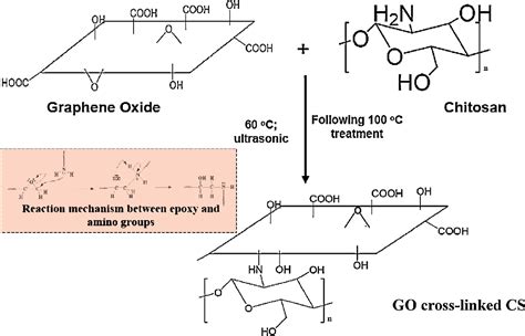 Figure 1 From Graphene Oxide Cross Linked Chitosan Nanocomposite Membrane Semantic Scholar