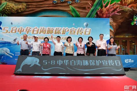 保护海洋大熊猫 首届中华白海豚保护宣传日在珠海长隆启动 央广网
