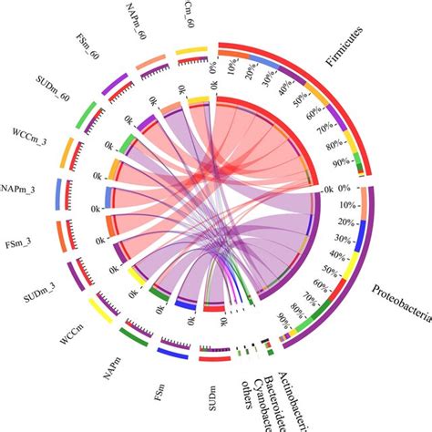 Circos Plot Showing Microbial Communities Differences At The Phylum