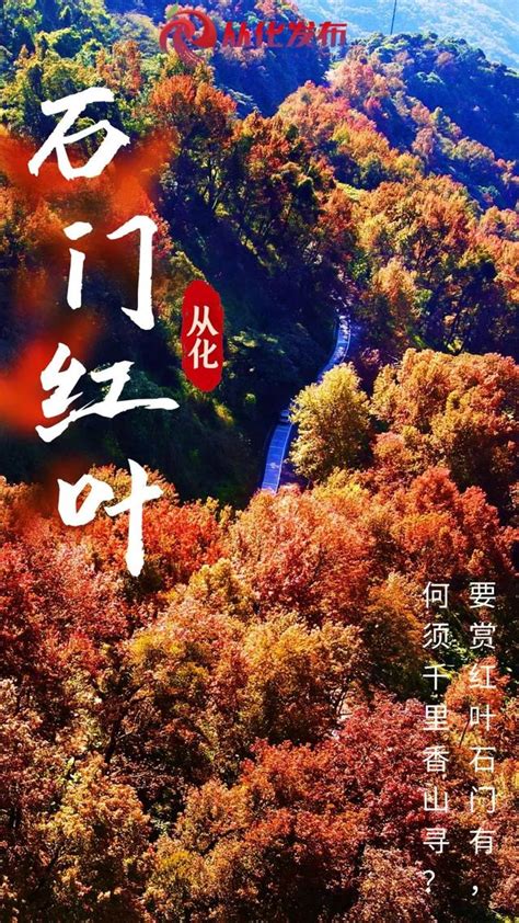 實拍超驚艷賞紅葉首選當屬從化石門 每日頭條