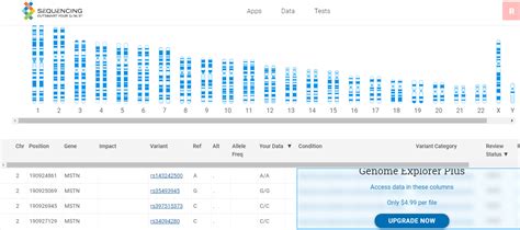 I M Curious If I Have The Mstn Gene Or Myostatin Deficiency Promethease
