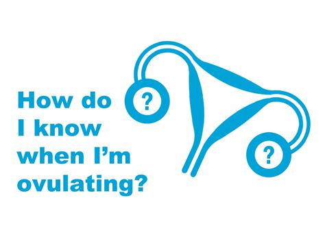 How Do I Know When I M Ovulating Teen Health Source