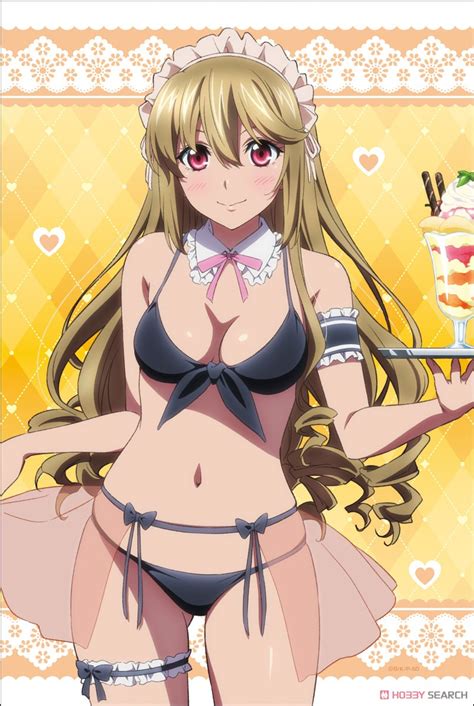 ストライクザブラッド FINAL 描き下ろしB2タペストリー 2 藍羽浅葱 キャラクターグッズ 商品画像1
