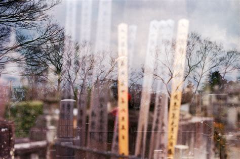 Kodak Gcultramax 400 Color Negative Film Review With Sample Photos In