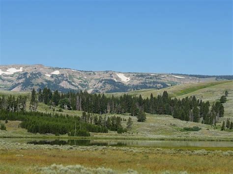 Scenic View Of Sloping Hills With Pine Trees And Snow On Distant