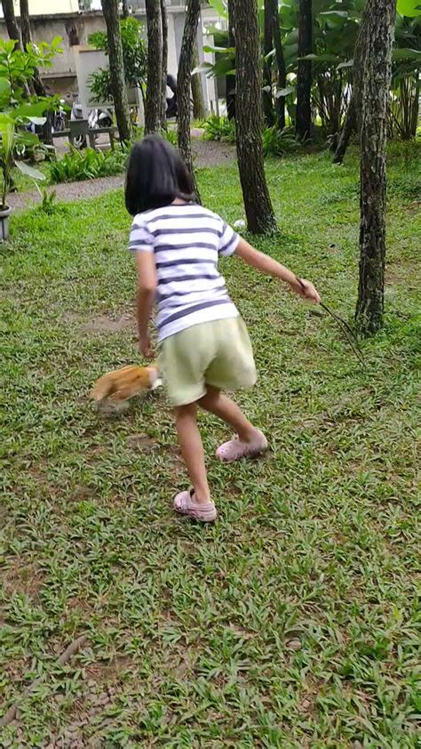 Fortis Est Veritas On Twitter Tnr Apa